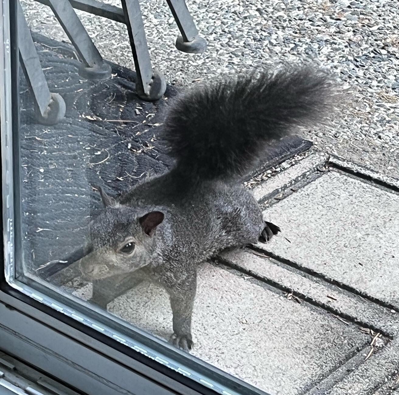 10 minutes of gratitude – Reflections