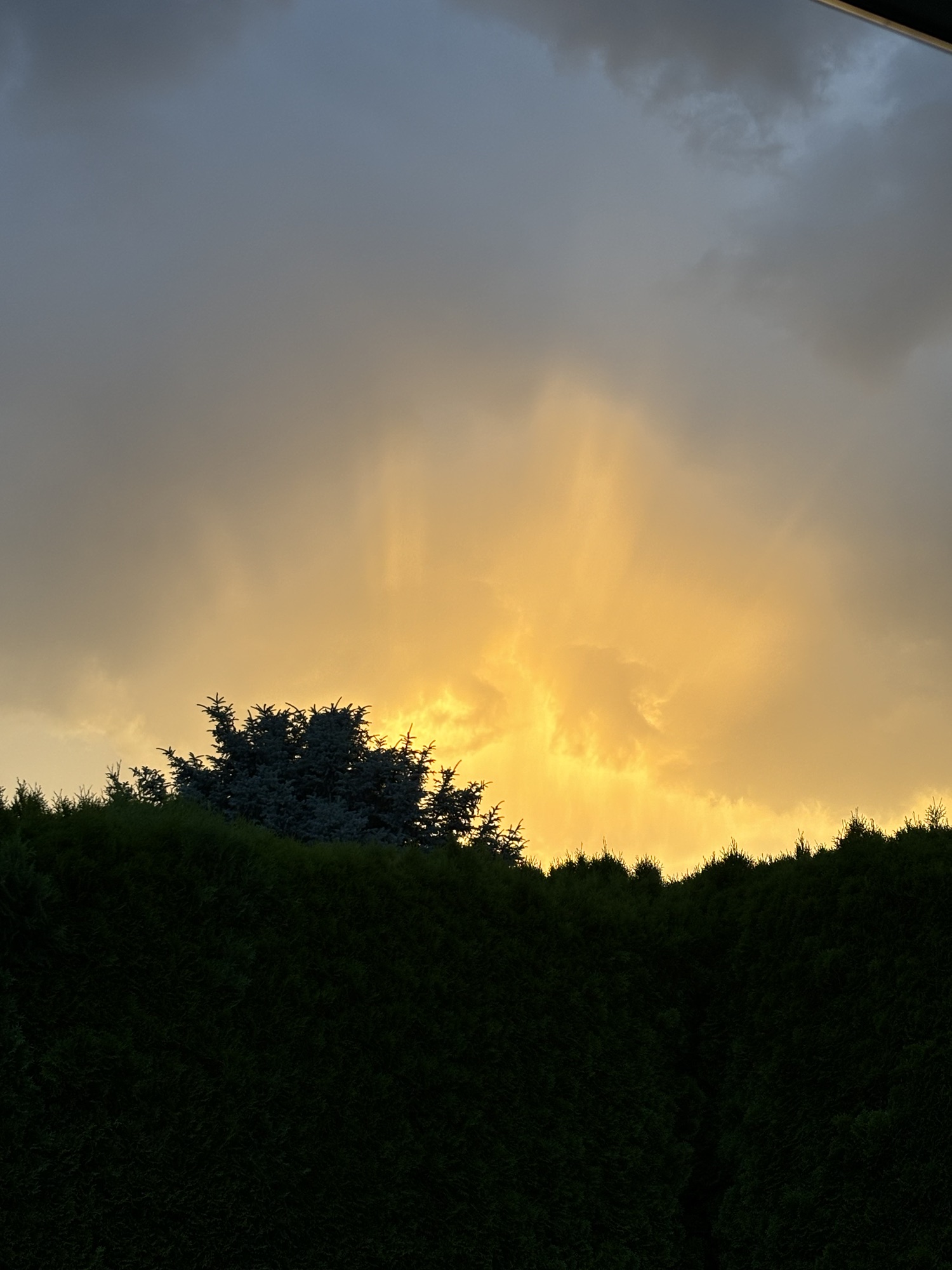 Thunderstorms – Reflections